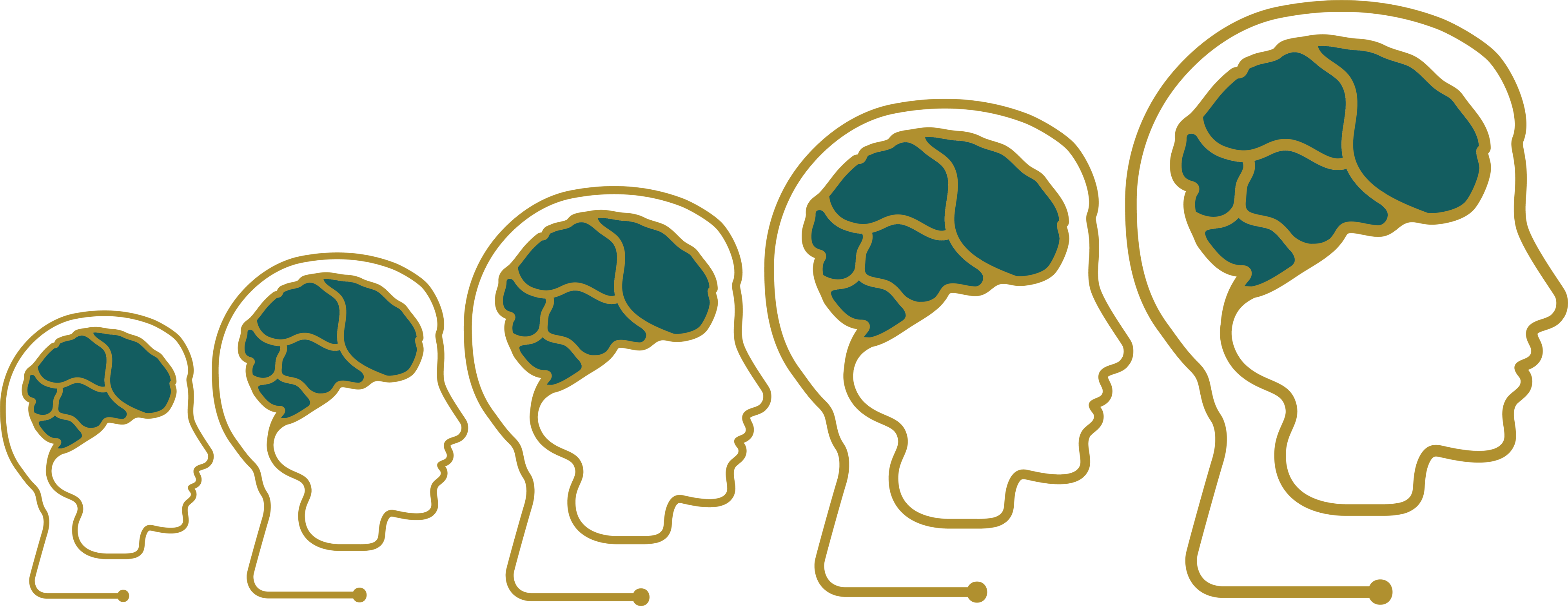 Program Overview | Arrowsmith