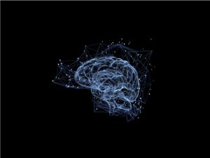 Beginners Guide to Understanding Cognitive Functions | Arrowsmith