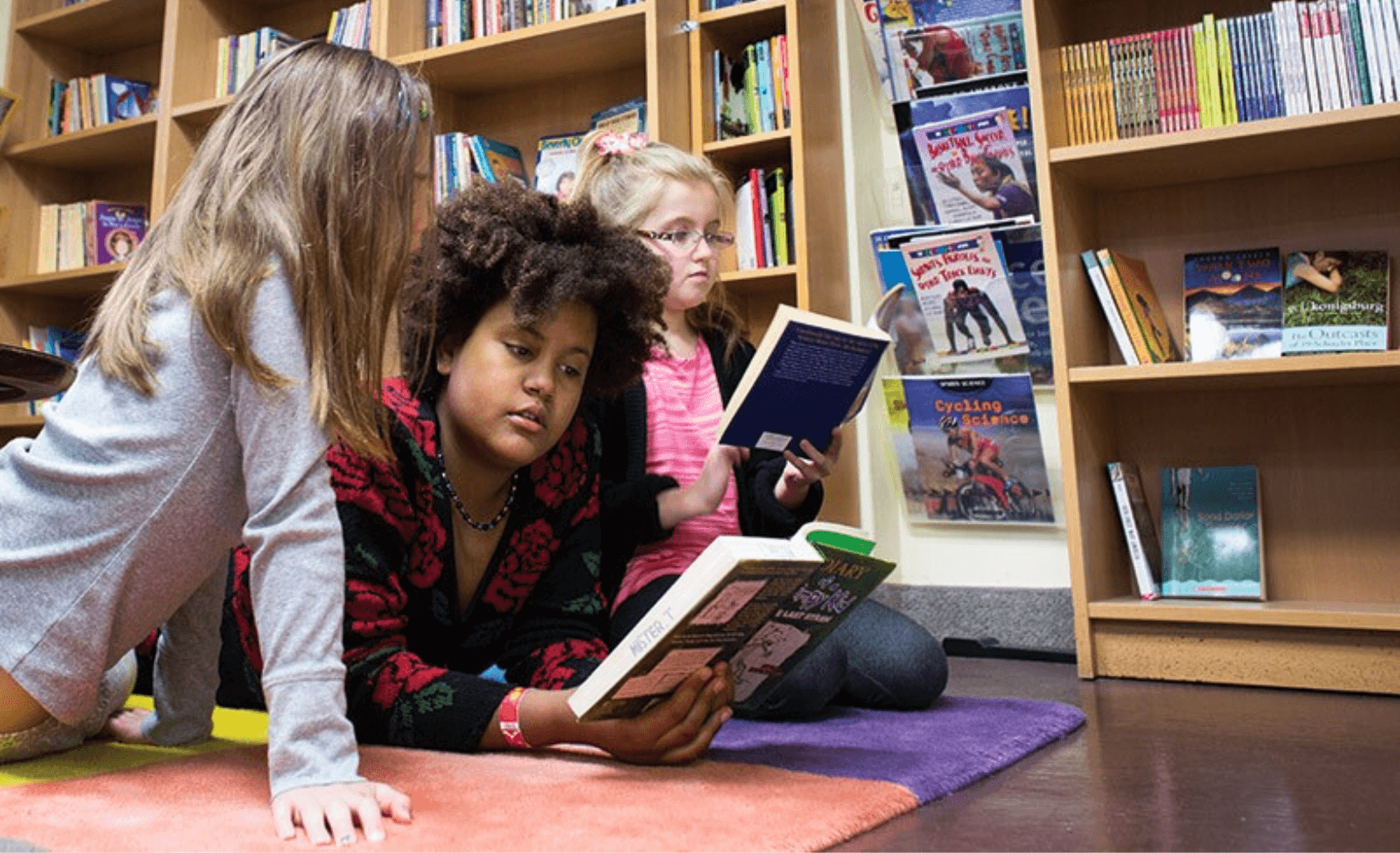 Program Overview | Arrowsmith